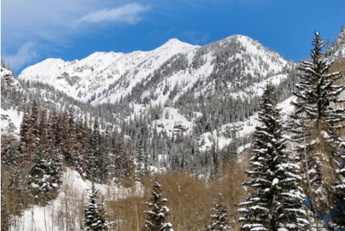 Mountain Top Action Tour | High Country Tours