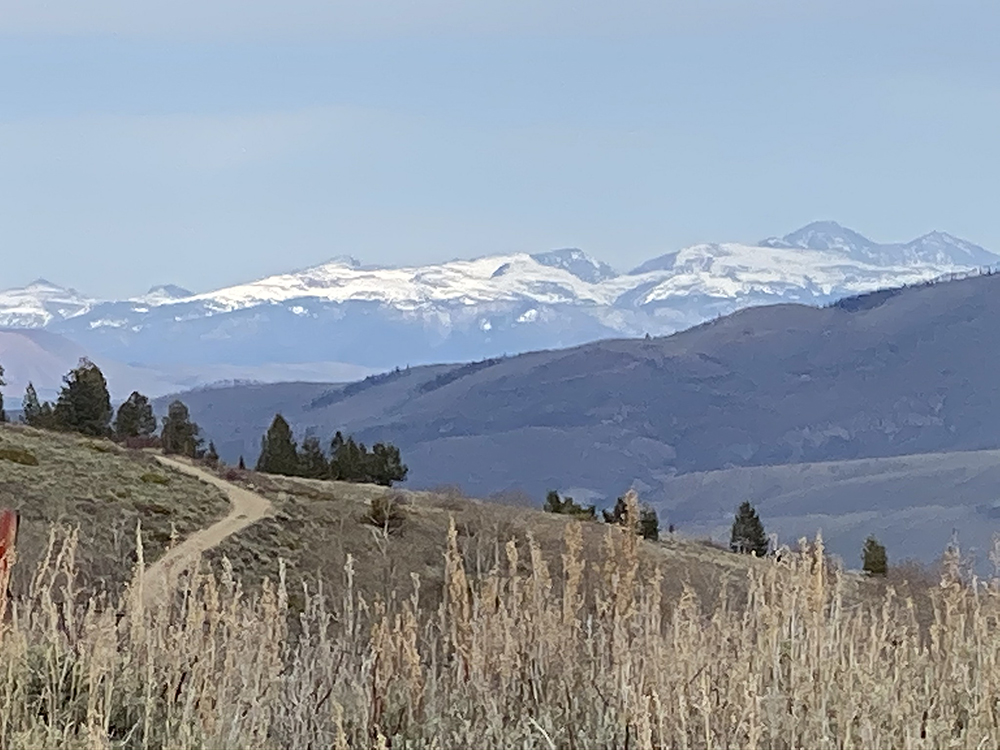 SpringCreek | High Country Tours